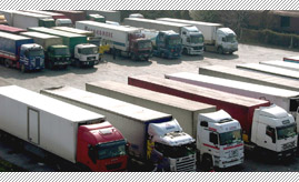 View Company Profile: Geneks