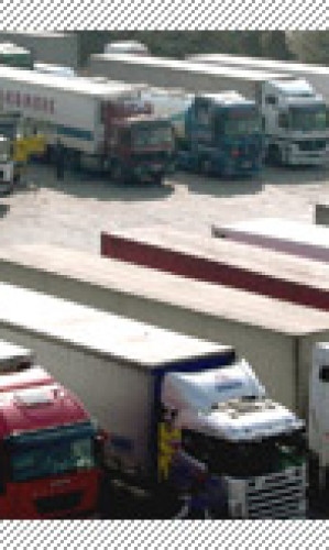 View Company Profile: Geneks