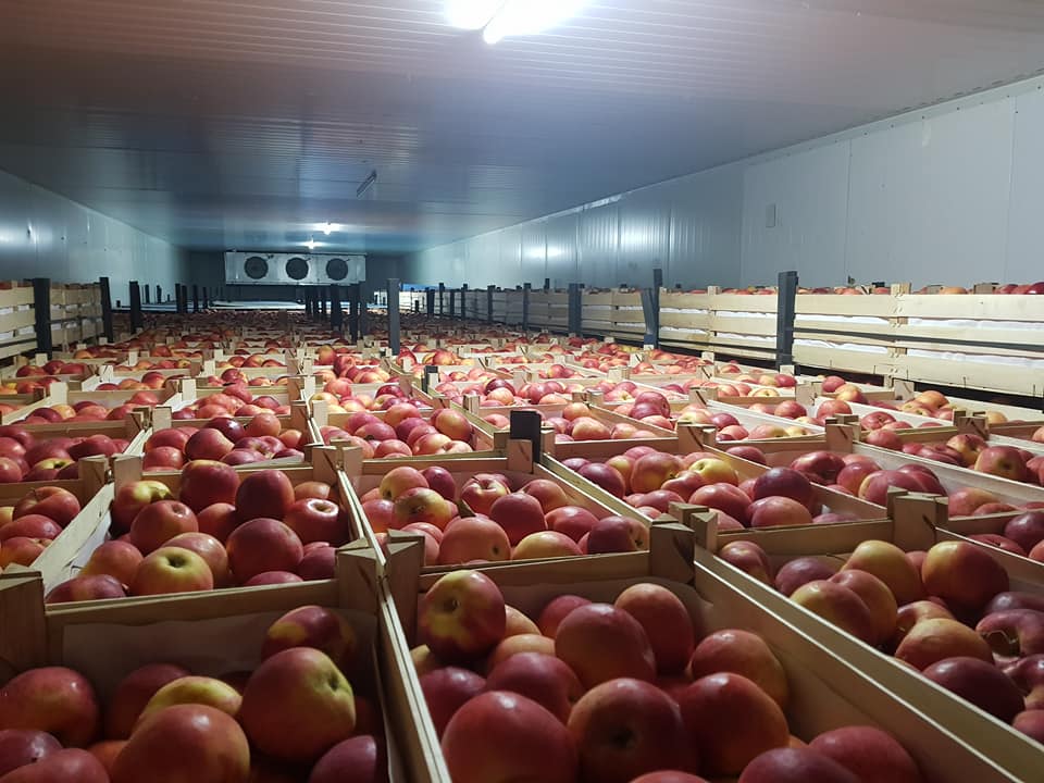 View Company Profile: AGRO MARKET GROUP